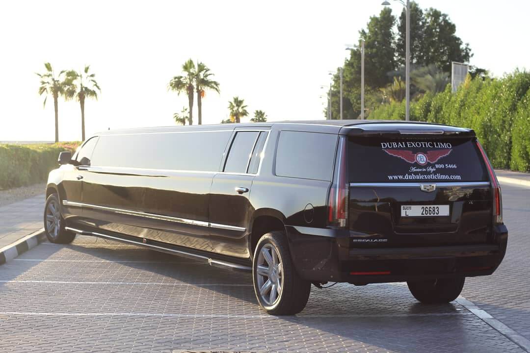 Black Panther | Limo Rental | Dubai Exotic Limo